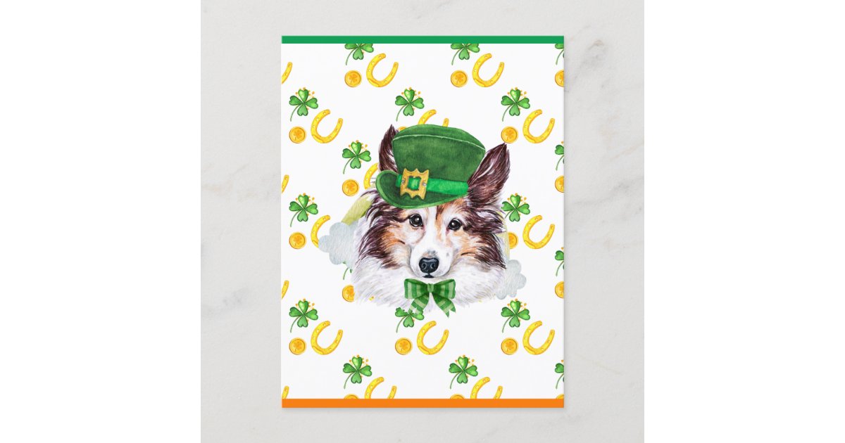 Sheltie Shamrock St. Patricks Day Holiday Postcard | Zazzle