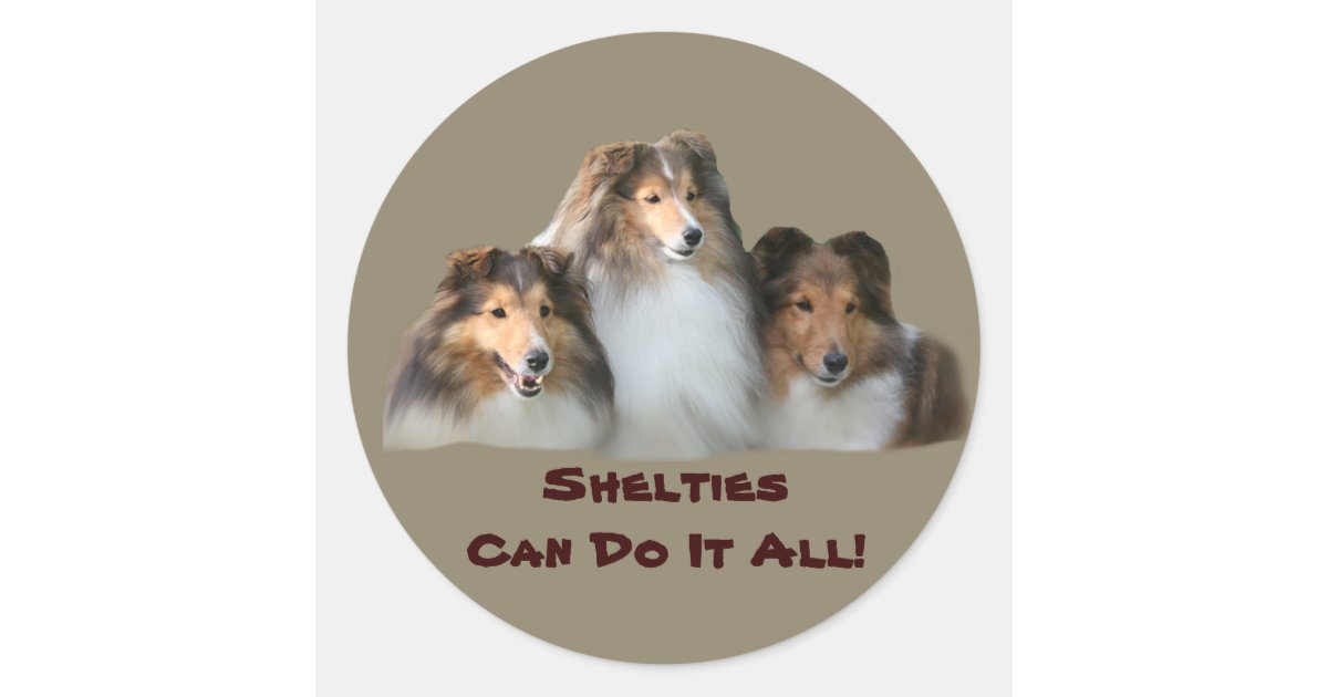 Sheltie Sticker | Zazzle