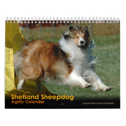 Shetland Sheepdog Agility Calendar | Zazzle