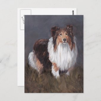 Shetland Sheepdog Dog Art Post Card | Zazzle