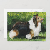 Shetland Sheepdog Dog Art Postcard | Zazzle