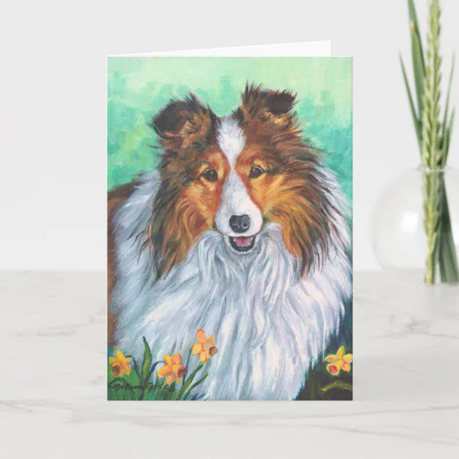 Shetland Sheepdog Greeting Cards | Zazzle