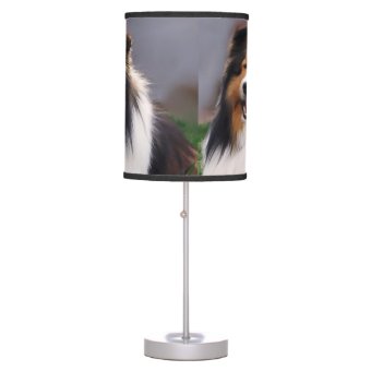 Shetland Sheepdog Sheltie Art Gifts Table Lamp | Zazzle