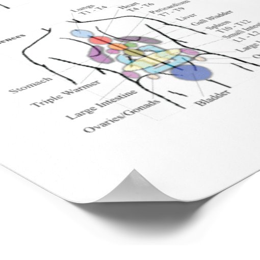 Shiatsu Acupuncture Meridians and Hara Diagnosis Poster | Zazzle