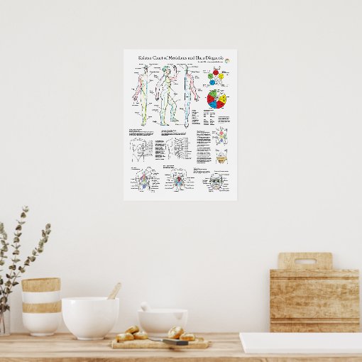 Shiatsu Acupuncture Meridians and Hara Diagnosis Poster | Zazzle