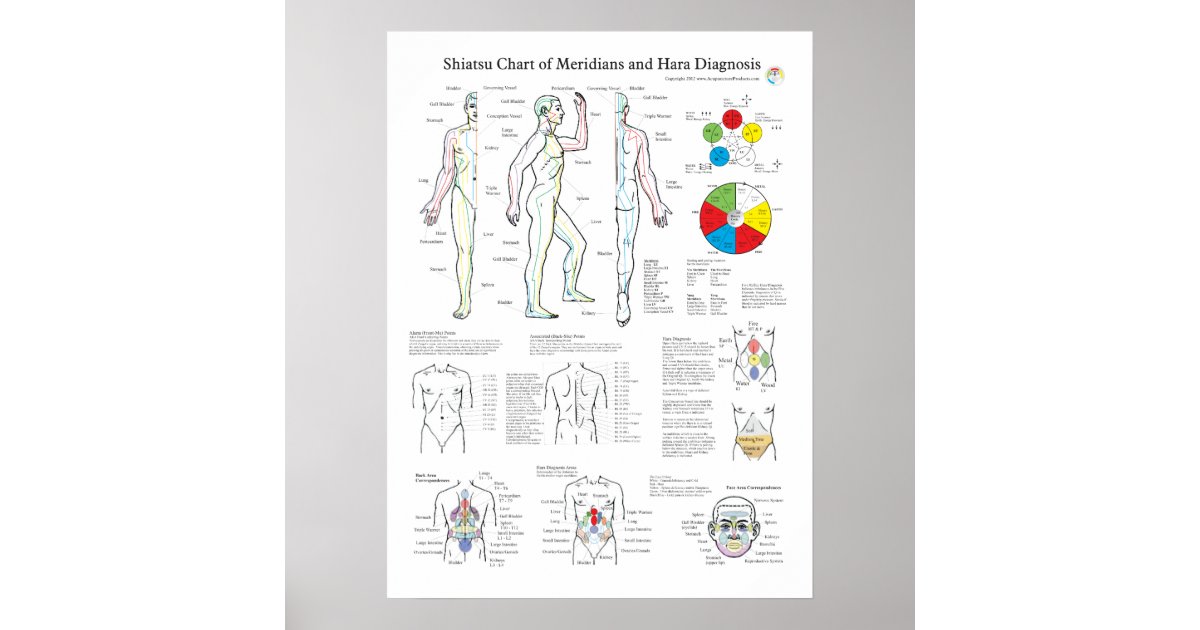 Shiatsu Acupuncture Meridians and Hara Diagnosis Poster | Zazzle
