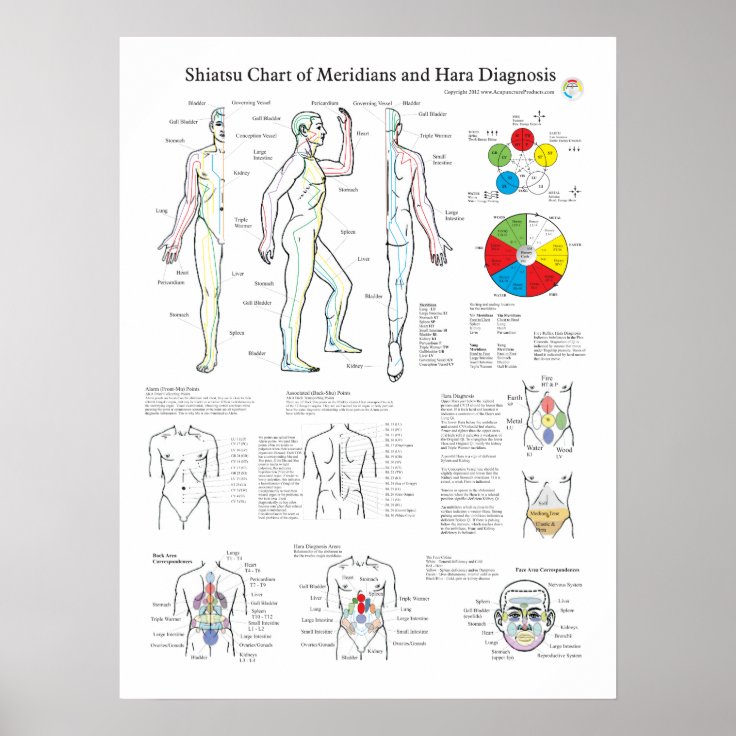 Shiatsu Acupuncture Meridians and Hara Diagnosis Poster | Zazzle