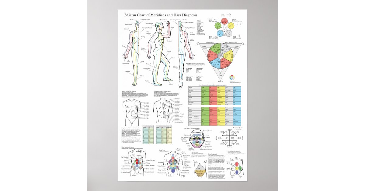 Shiatsu Acupuncture Meridians Hara Diagnosis Chart | Zazzle
