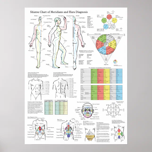 Shiatsu Acupuncture Meridians Hara Diagnosis Chart | Zazzle