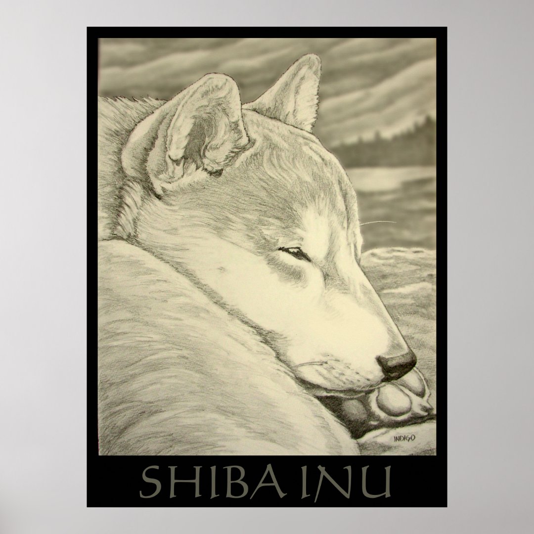 Shiba Inu Art Poster Dog Art Poster Shiba Inu Gift | Zazzle