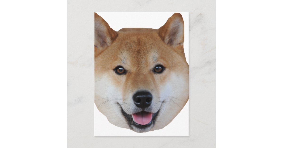 shibe.png postcard | Zazzle