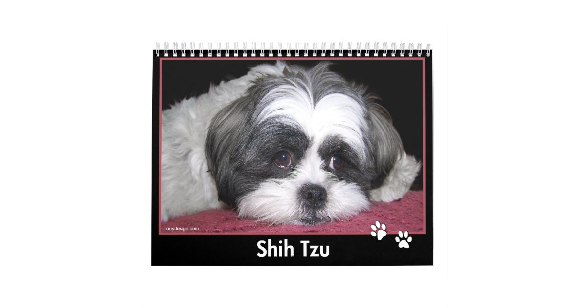 Shih Tzu Calendar | Zazzle.com