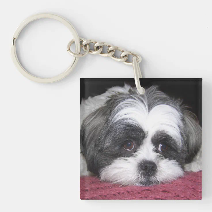 Shih Tzu Keychain | atelier-yuwa.ciao.jp