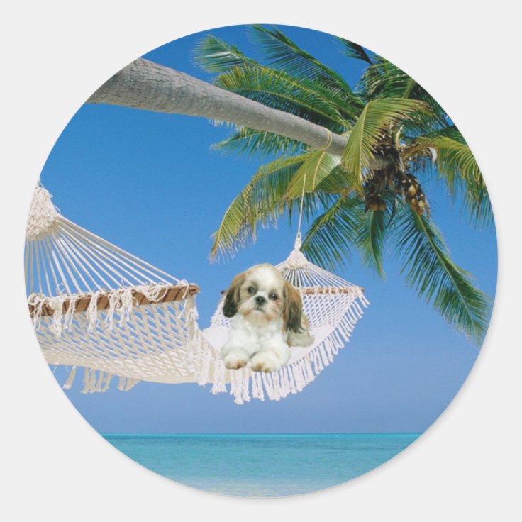 Shih Tzu Hanging Out Sticker | Zazzle