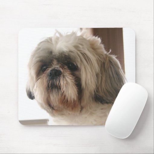 Shih Tzu Mousepad | Zazzle
