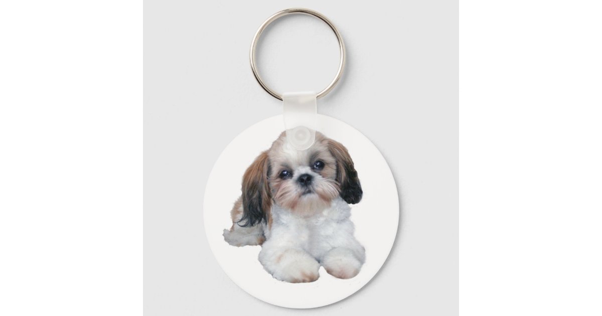 Shih Tzu Puppy Keychain | Zazzle