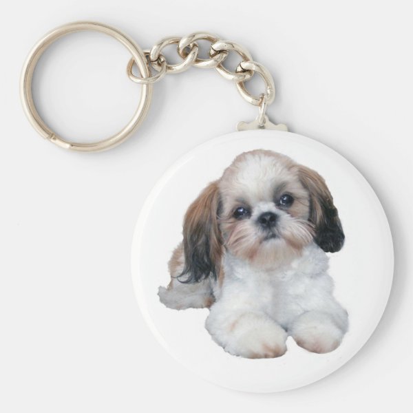 Personalized Shih Tzu Gifts on Zazzle