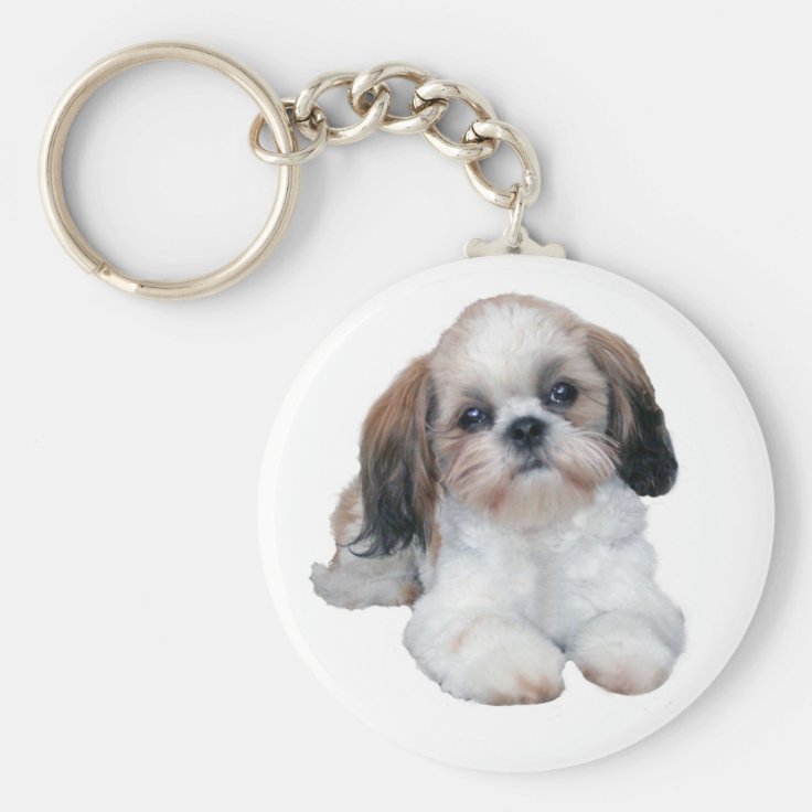 Shih Tzu Puppy Keychain | Zazzle