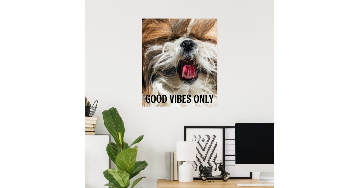 Shih tzu tongue funny vibes custom text poster | Zazzle