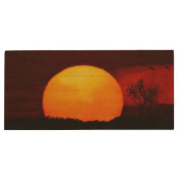 Shine bright calligraphy & sunrise on a jungle wood flash drive | Zazzle