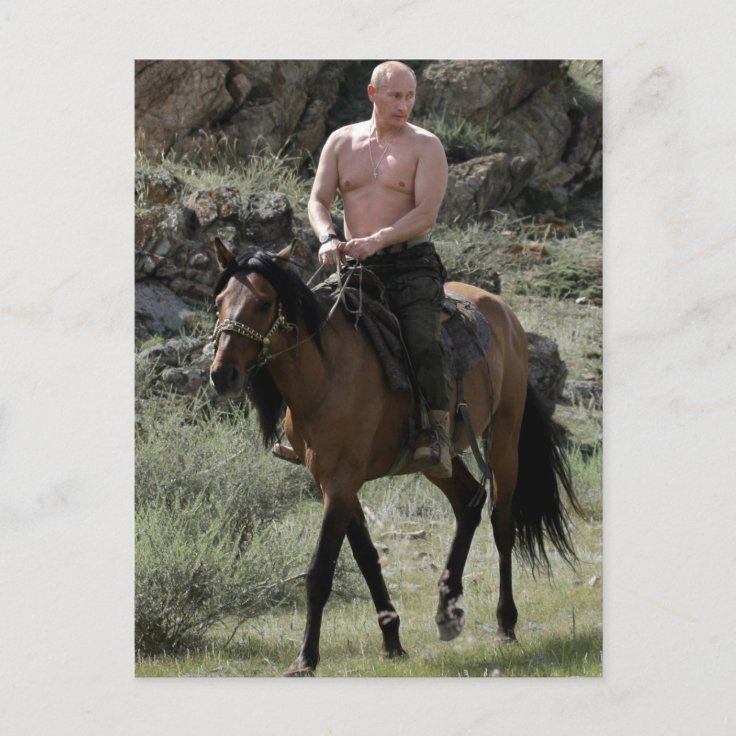Shirtless Putin Rides a Horse Postcard | Zazzle