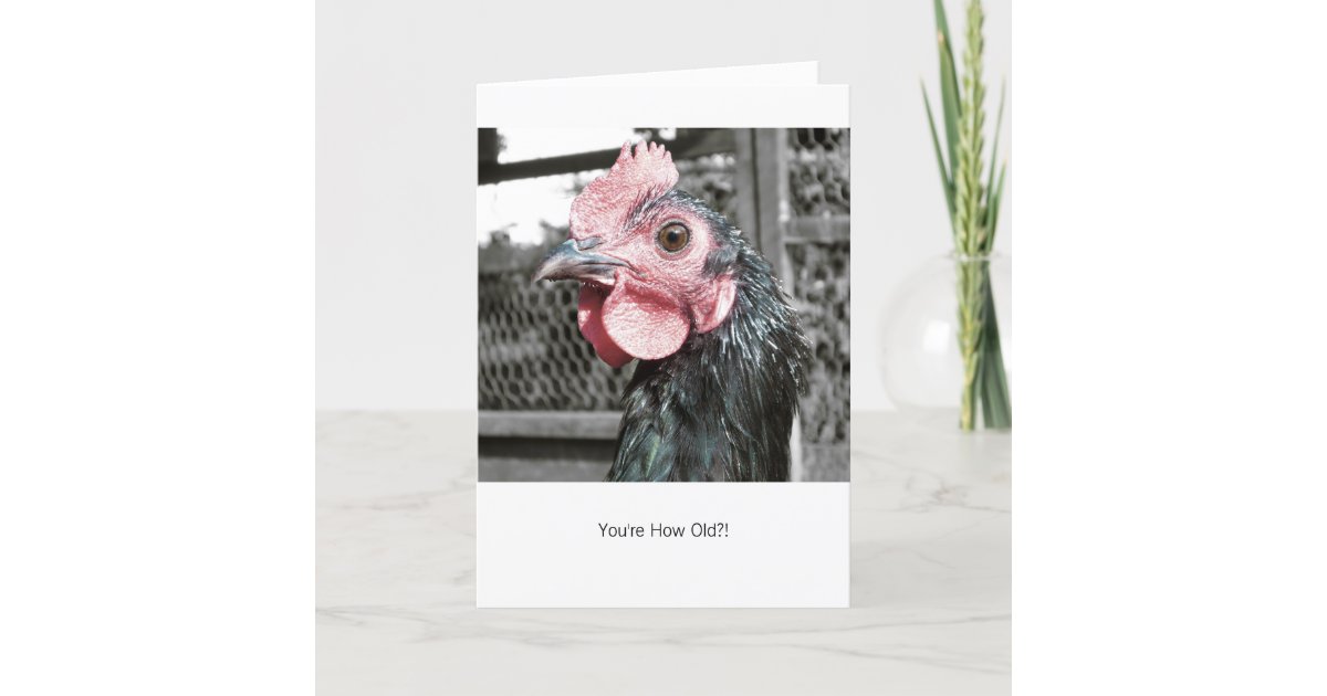 Shocked Chicken - Funny Hen Birthday Card | Zazzle