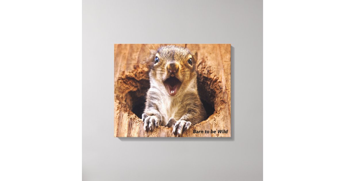 Shocked Squirrel Canvas Print | Zazzle