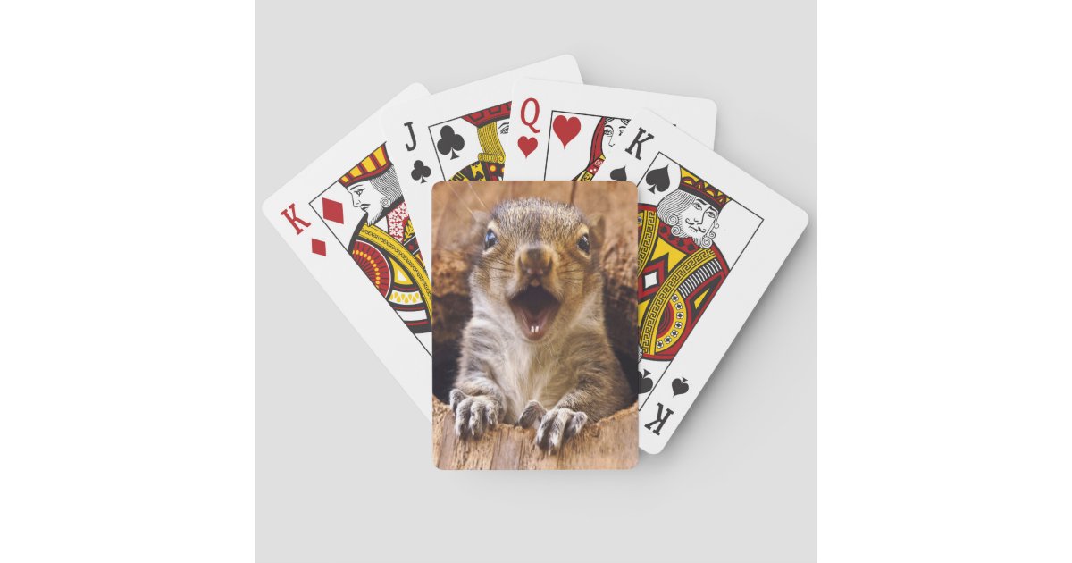 Shocked Squirrel Poker Cards | Zazzle
