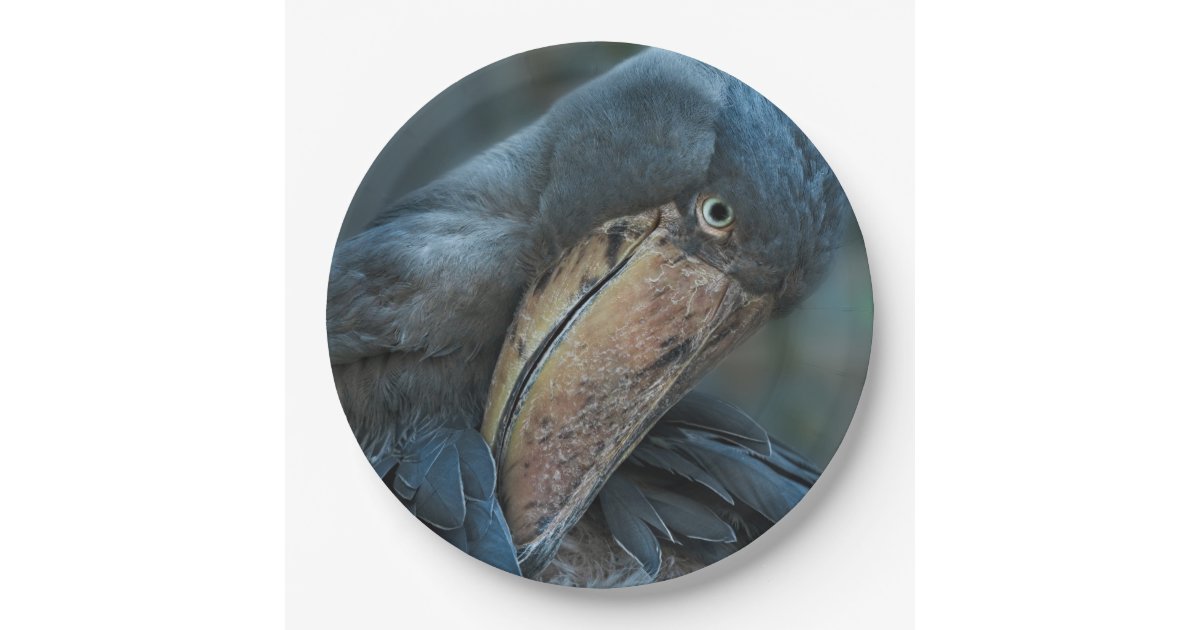 Shoebill Paper Plates | Zazzle