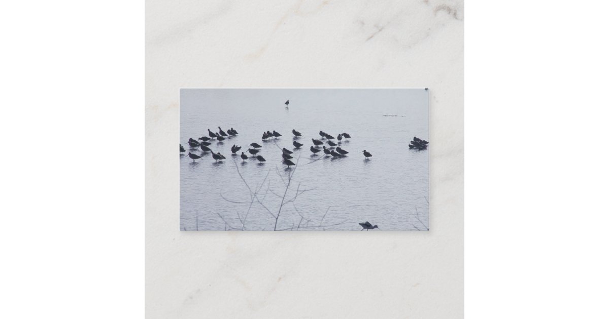 shorebirds on a lake business card | Zazzle