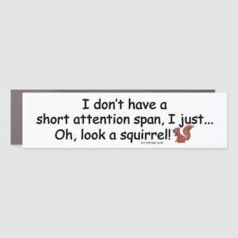 Short Attention Span Squirrel Car Magnet | Zazzle
