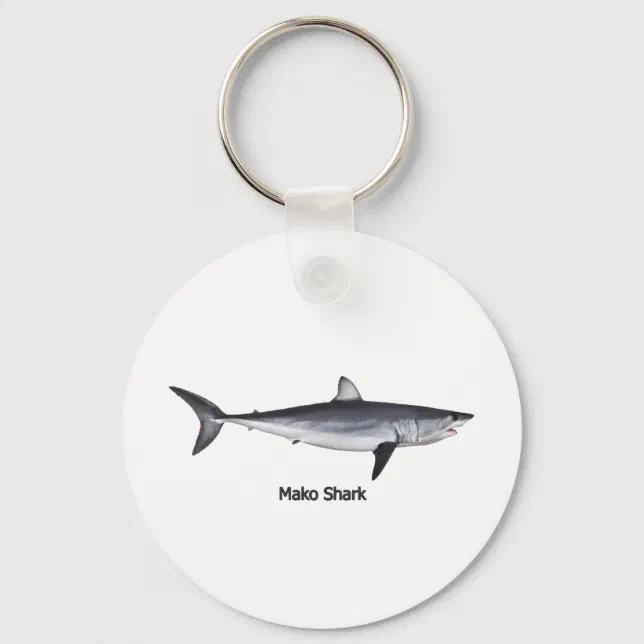 Shortfin Mako Shark Illustration Keychain | Zazzle