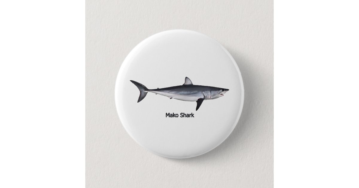 Shortfin Mako Shark Illustration Pinback Button | Zazzle