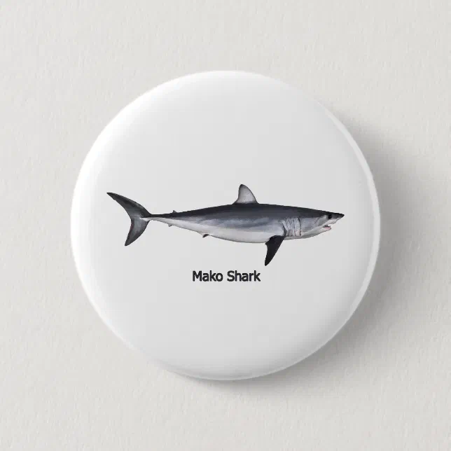 Shortfin Mako Shark Illustration Pinback Button | Zazzle