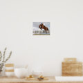 show jumping poster | Zazzle