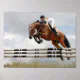 show jumping poster | Zazzle