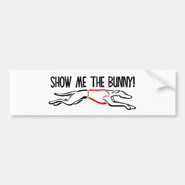 Show me the Bunny! Bumper Sticker | Zazzle