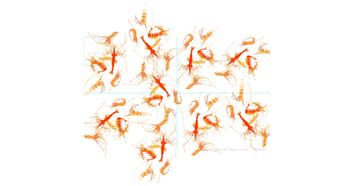 Shrimp Fabric | Zazzle