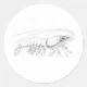 Shrimp Logo Classic Round Sticker | Zazzle