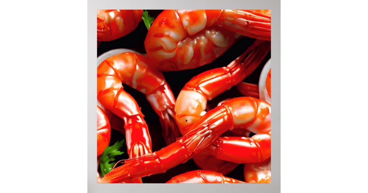 Shrimp Poster | Zazzle