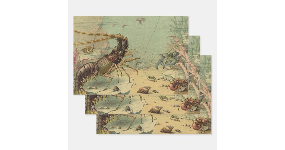 Shrimp, Underwater Sea Life, Vintage Ocean Animals Wrapping Paper ...