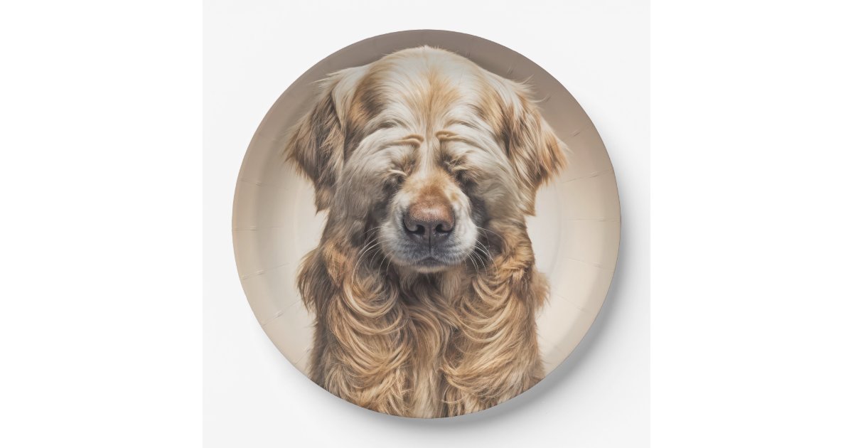 Shy Golden Retriever Paper Plates | Zazzle