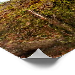 "Shy Little Vixen" Poster | Zazzle