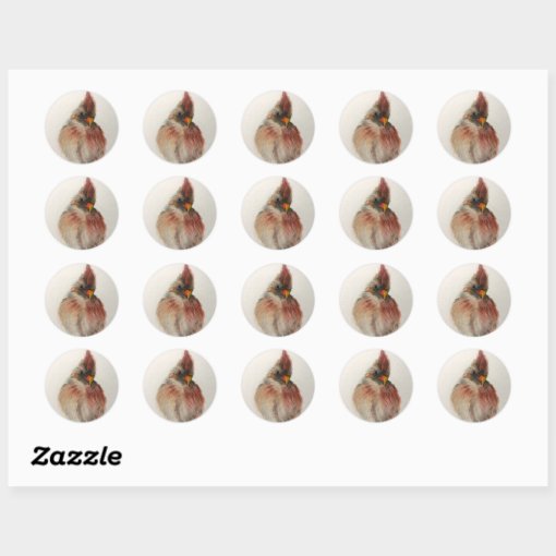 Shy Red Bird Sticker Set Original Artwork | Zazzle