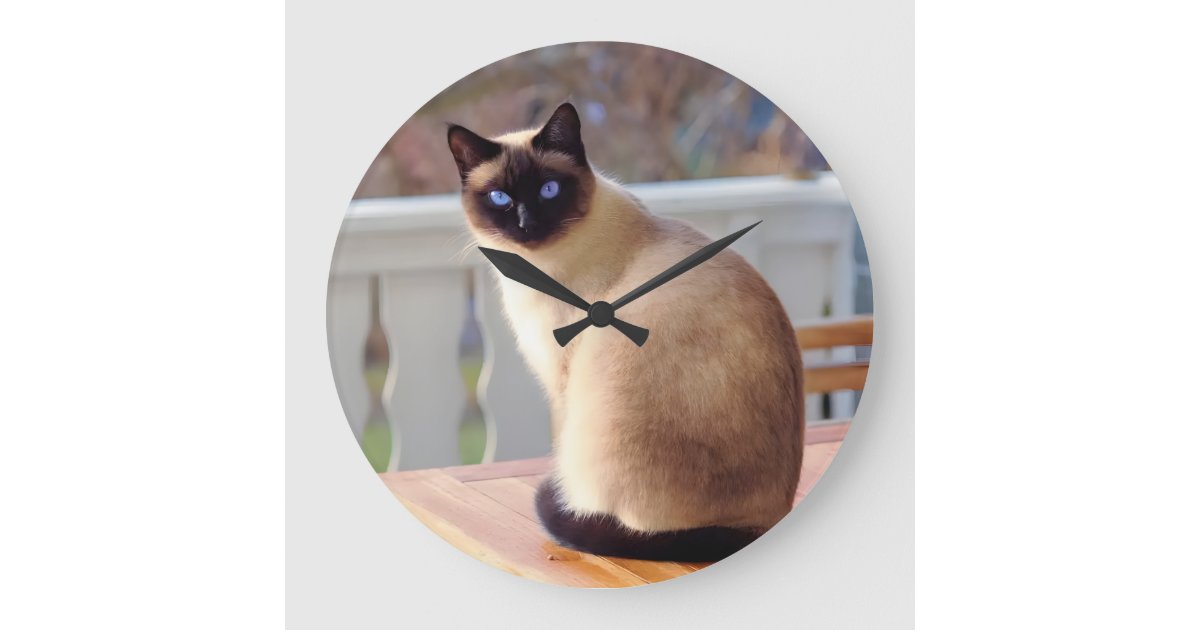 Siamese cat clock | Zazzle