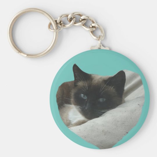 Siamese Cat Close Up Cust. BG Color Keychain | Zazzle.com
