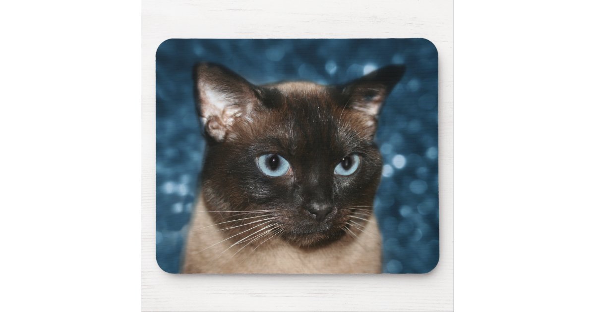 Siamese cat face mouse pad | Zazzle
