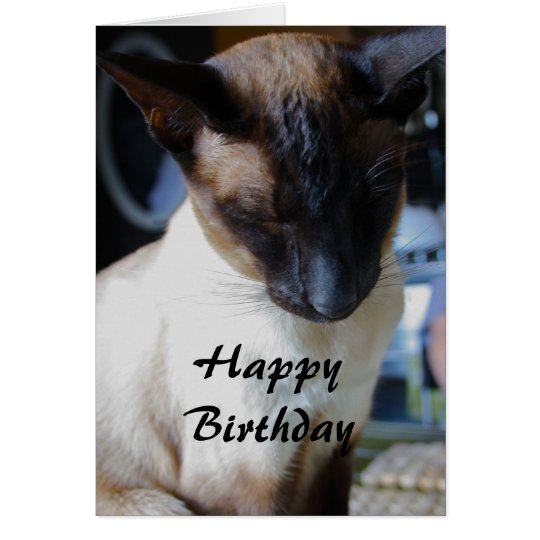 Siamese Cat Happy Birthday Card | Zazzle.com