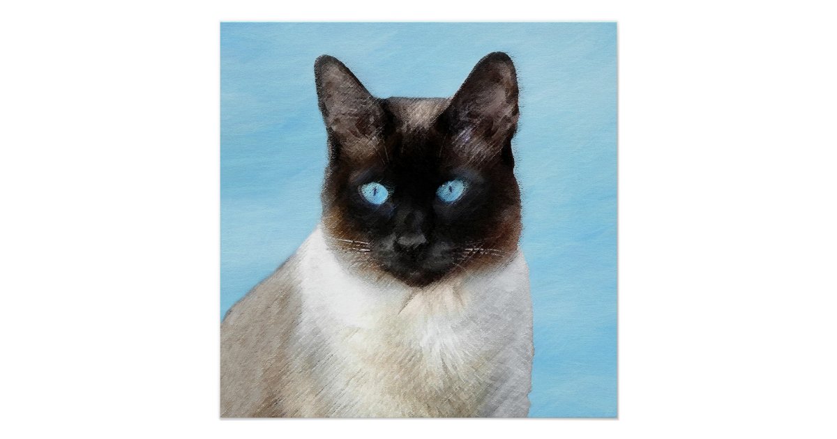 Siamese Cat Painting - Cute Original Cat Art Poster | Zazzle