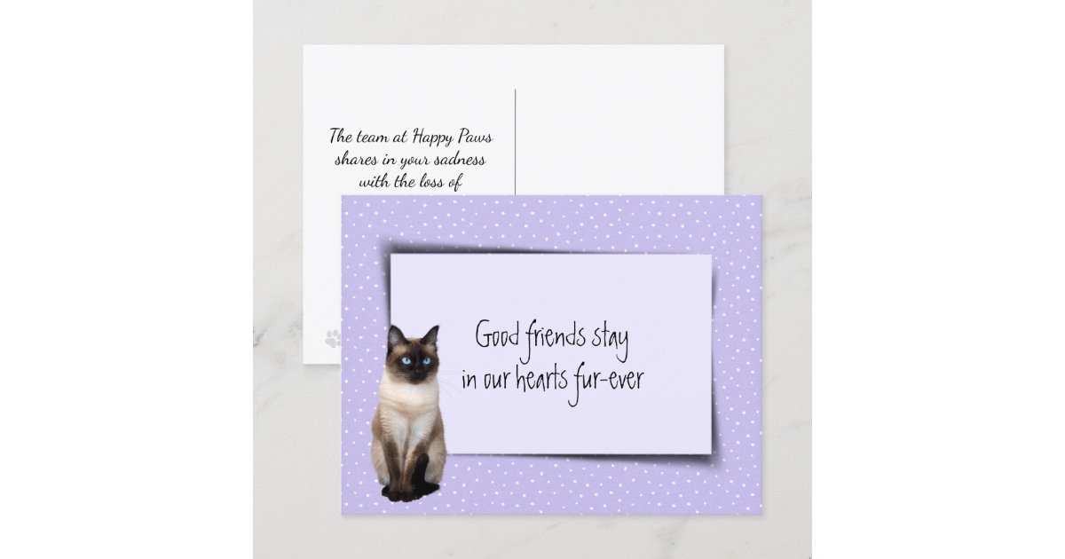 Siamese Cat Pet Loss From Veterinarian Postcard | Zazzle